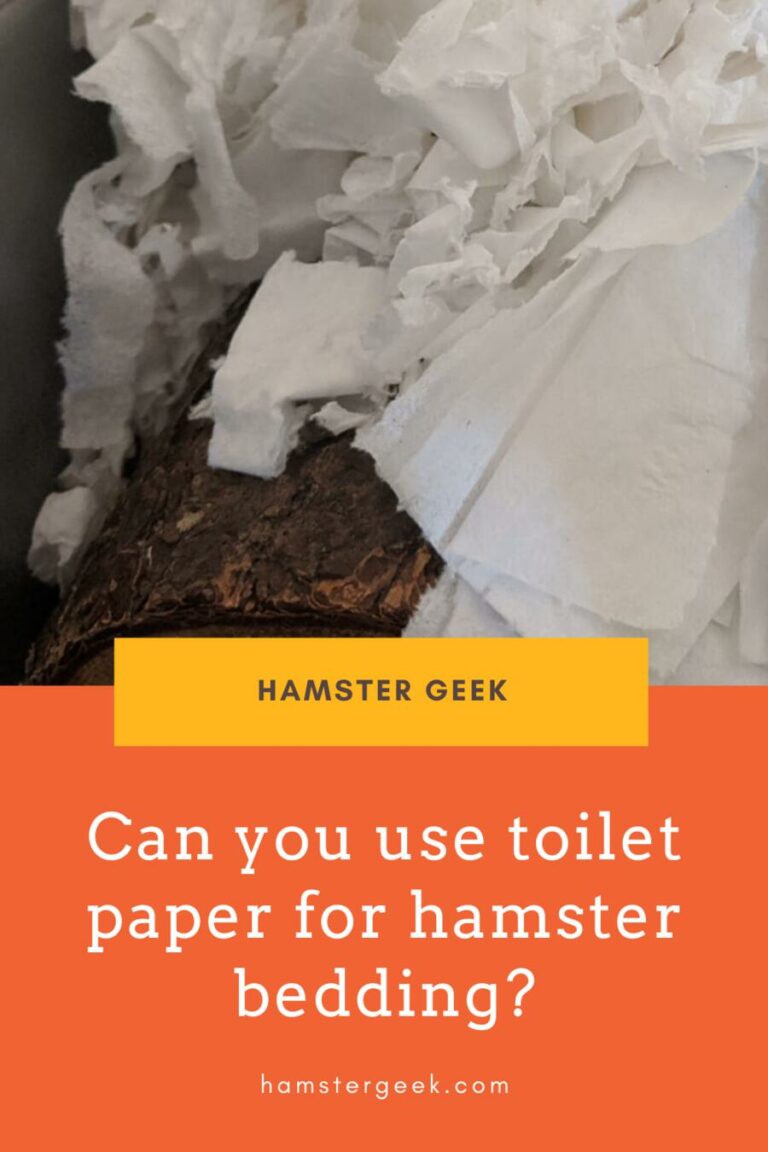 Can You use Toilet Paper For Hamster Bedding Hamster Geek can-you-use-toilet-paper-for-hamster-bedding-hamster-geek